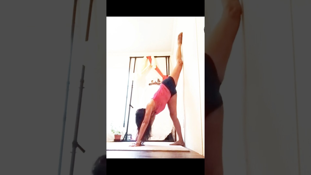 The wall standing #wallsplits, known as Urdhva Prasarita Eka Padasana #improveflexibility