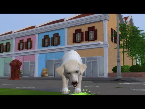 Steam Community :: The Sims™ 4