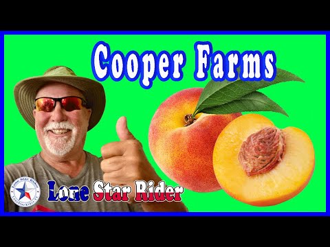 Cooper Farms Peaches Everywhere! • 03-28-2005 | Lone Star Rider