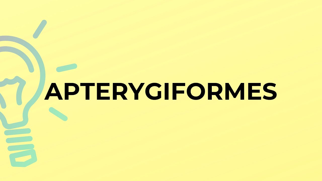 What is the meaning of the word APTERYGIFORMES?