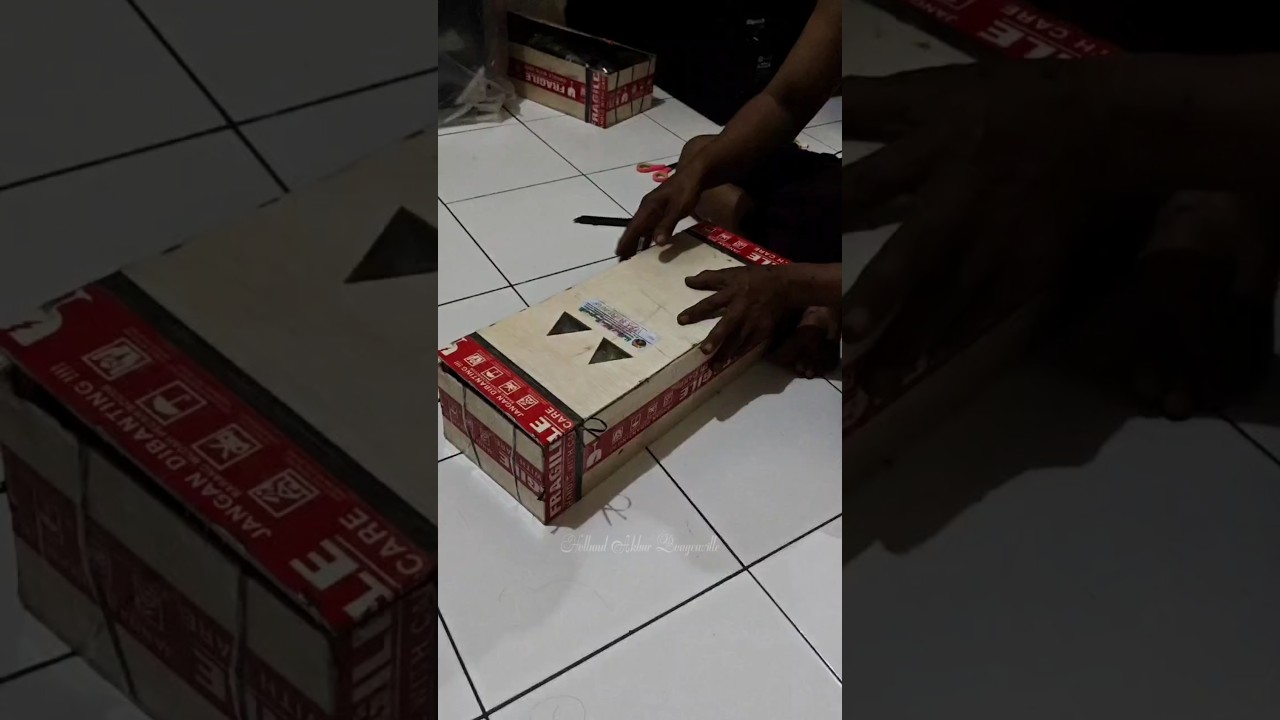 Testimoni 20 bibit Bougenville telah tiba di Depok Jawa Barat ☎️ 082176207300 #flowers #garden