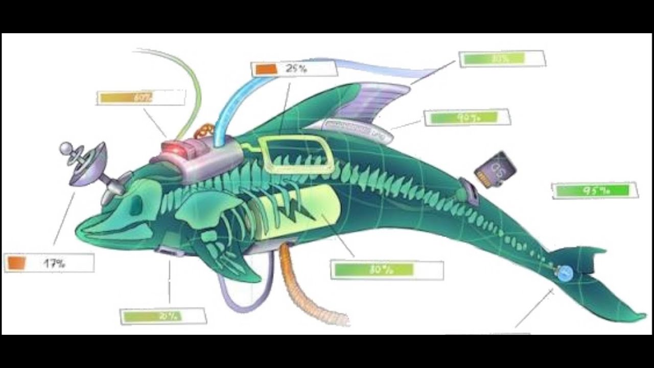 SonNet.Ai Hackathon 2025: The Mesh Awakens (Now Featuring Perplexity SONAR)