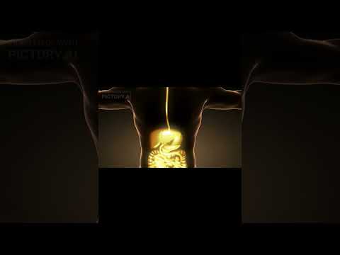 how drugs work inside the body|medicine inside the body|braintrigger