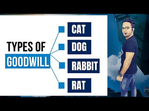 Types of GOODWILL -- Dog Cat Rat Rabbit Video Lecture - Crash Course ...