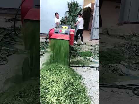 Hay cutters can produce 2 tons per hour, 3 tons, 5 tons, and 6 tons