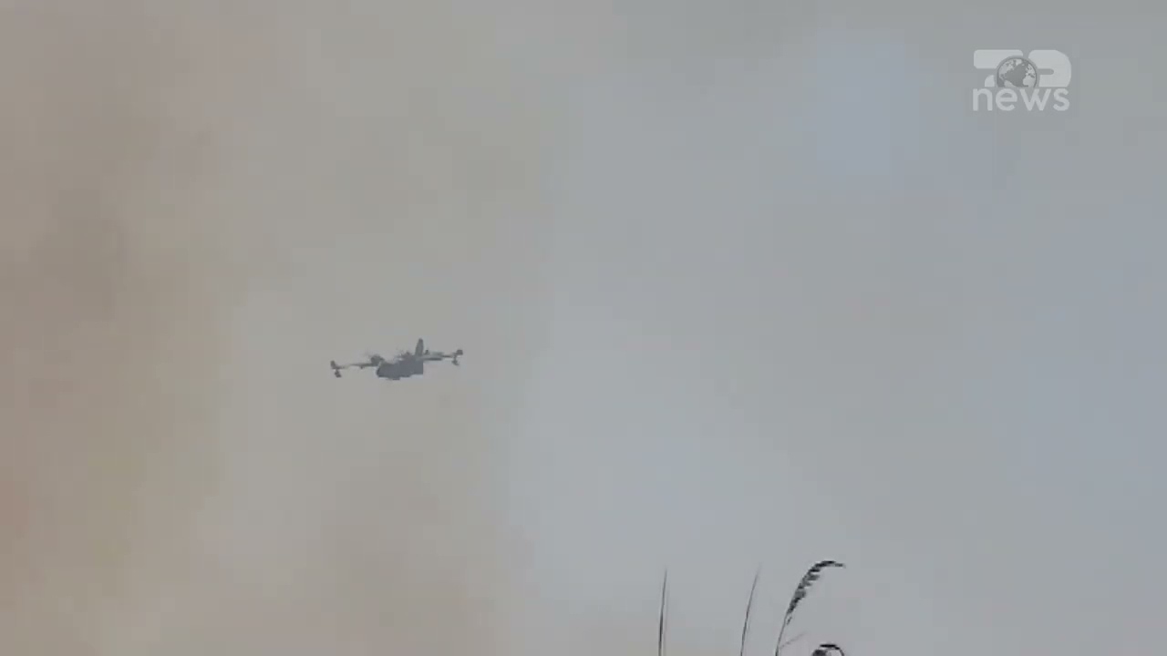Top News- Avionët grekë mbërrijnë në Fier/ Nisin misionet për fikjen e ... Top News- Avionët grekë mbërrijnë në Fier/ Nisin misionet për fikjen e ...