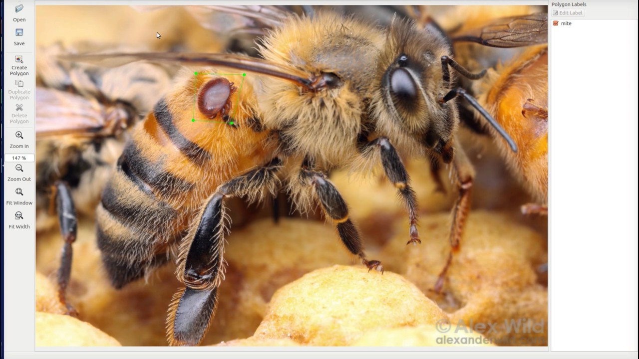 labelme: Image Annotation Tool with Python