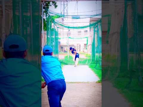 Classic Flick Shot Practice || Just Flick The Wrist #cricket #crickettraining #shorts #cricketdrills