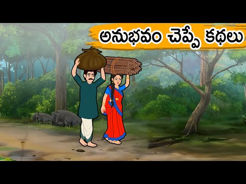 అనుభవం చెప్పే కథలు |Stories in Telugu - Moral Stories in Telugu -Neethi Kathalu Telugu|-తెలుగు కథలు