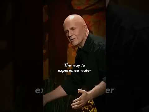 Wayne Dyer On How You Can Manifest Anything Easier #LoA #manifestation #WayneDyer