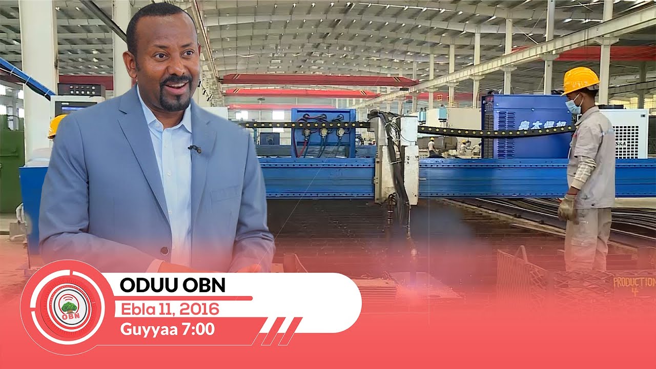 OBN Oduu Jimaata Guyyaa 11/08/16