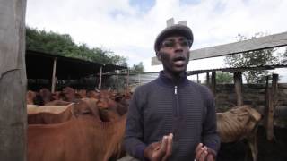 Meat Manager Overview | What is a meat manager? - Zippia