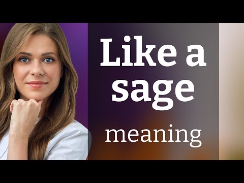 Understanding the Phrase "Like a Sage": An English Learning Guide
