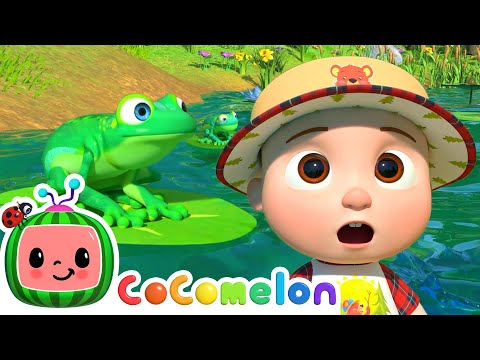 Let's Go Down by the Pond! | CoComelon Kids Songs & Nursery Rhymes
