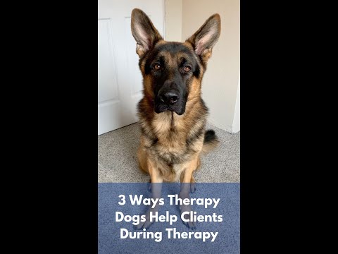 3 Ways Therapy Dogs Help Clients During Therapy.