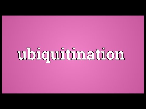 Ubiquitination Meaning