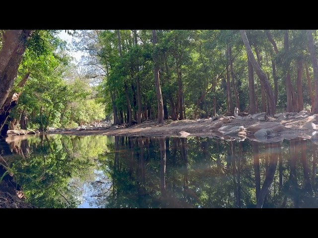 Cedarvale Park Campground