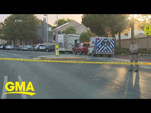Las Vegas politician in custody after fatal stabbing of reporter
