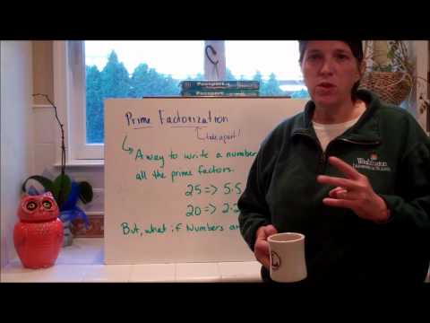 Math Chapter 4.1 Prime Factorization