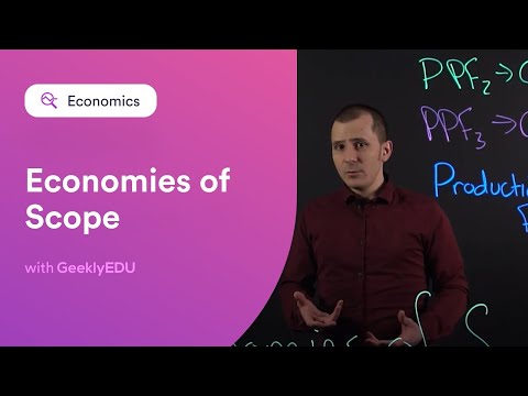 #GeeklyHub Economies of Scope [Explained With Examples!] GeeklyEDU Economics