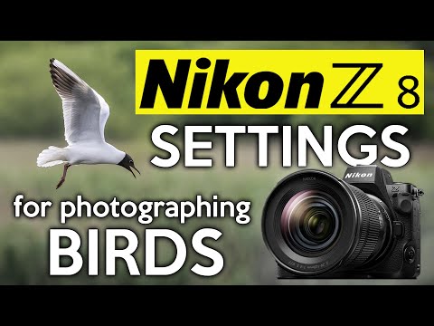 Nikon Z8: Settings for bird photography (1695)