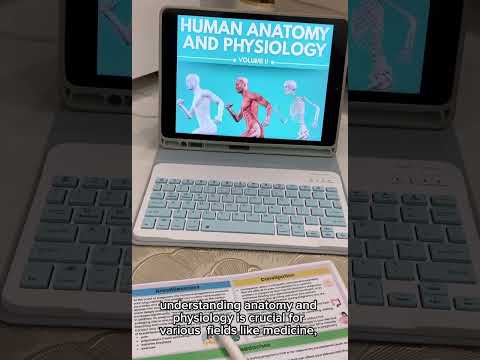 Human Anatomy or Physiology | Key Body Systems, Functions & Study Tips for Nursing Students
