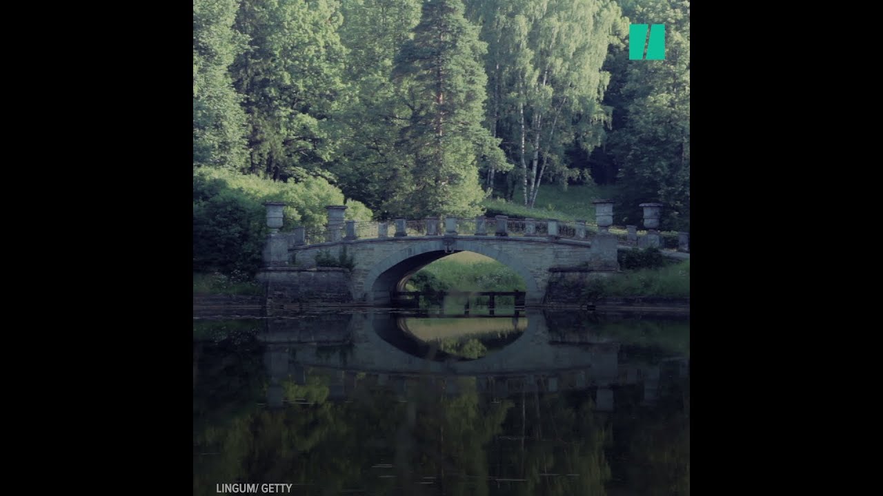 Meditation Made Easy