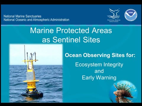 MPAs as Sentinel Sites
