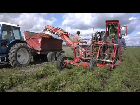 VanSingel Farms: 2015 MI Vegetable Council Master Farmer Award