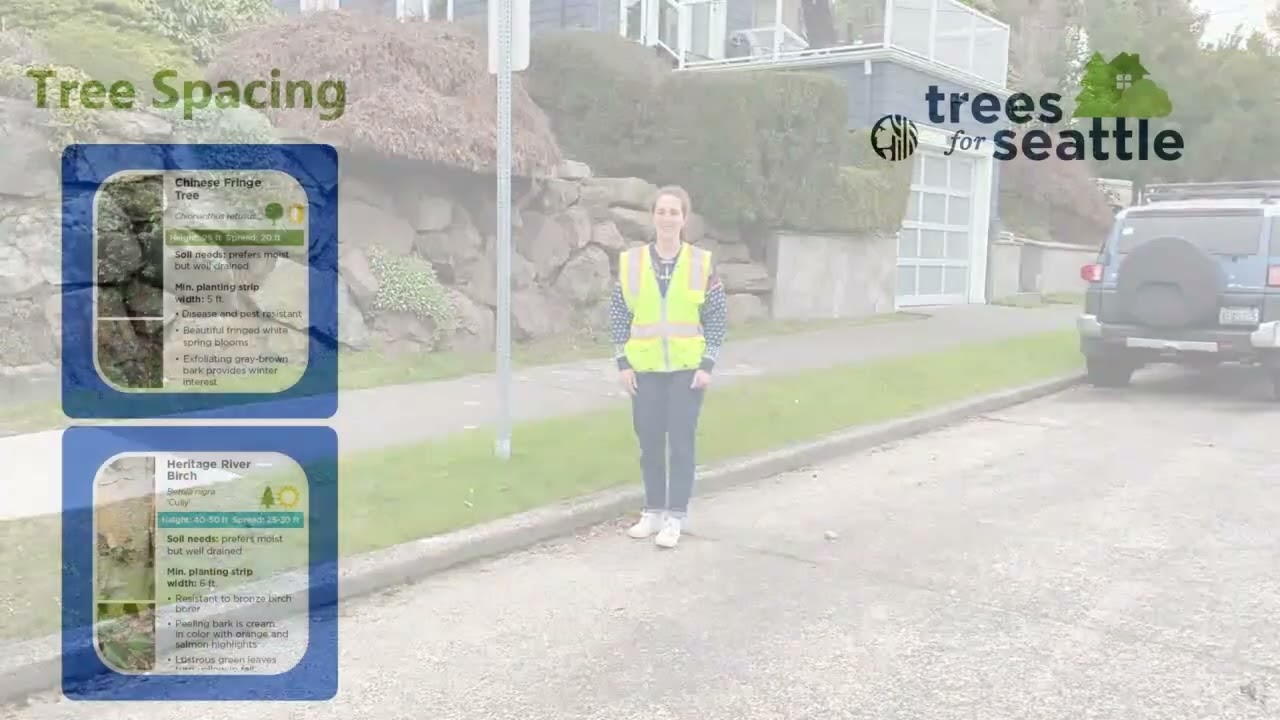 Right Tree, Right Place - Tree Selection Overview