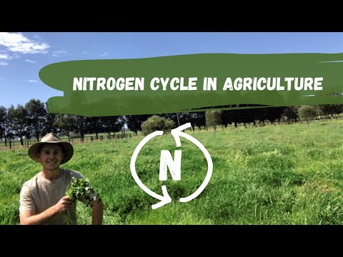 The Nitrogen Cycle In Agriculture