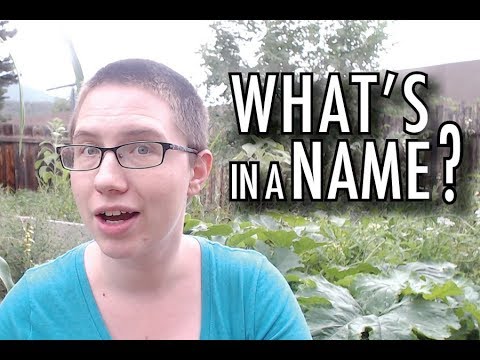 [7.25] Your Pagan Name