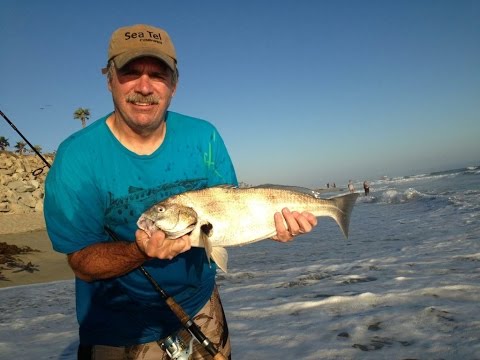 Surf fishing update with hot tips to catch you more fish