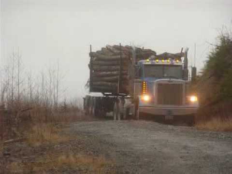 3 and 4 axle logging trailers behind Kenworth and Peterbilt log trucks. AMAZING!