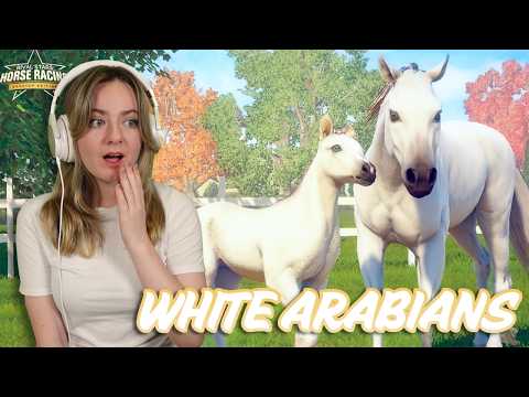 Steam Community :: Video :: PURE WHITE ARABIAN HORSE BREEDING - Rival ...