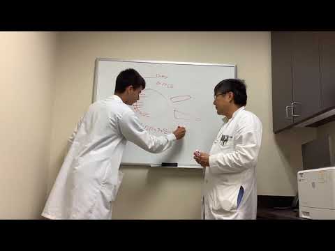 EyeWonder: Structural Differences Between Rods and Cones