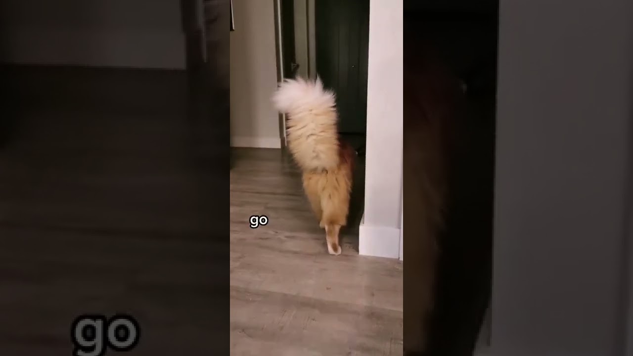 He did an A++ job of growing it=walter the catt