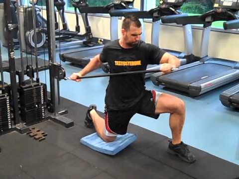 Half-Kneeling Rotational Reverse Chop | myworkouts.io