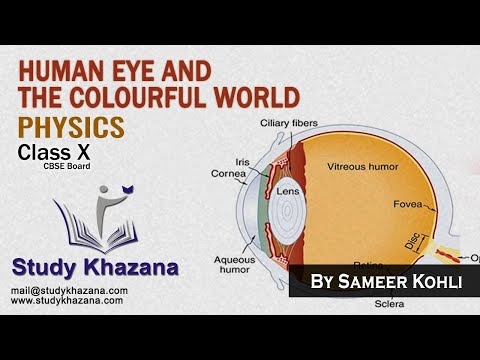 CBSE 10, Physics, CBSE- Human Eye and the Colourful World, NCERT ...