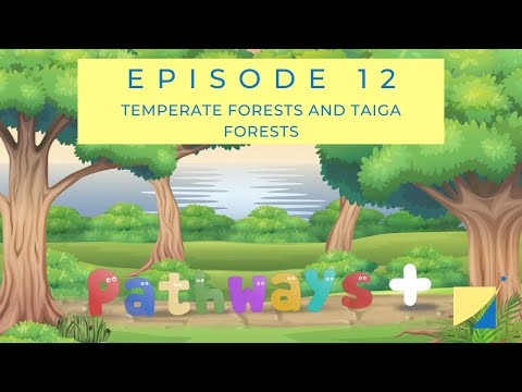 Temperate Forest and Taiga Forests Biomes - Pathways Plus Episode 12