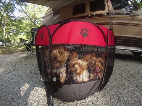 Keeping your pets safe while camping with the Coleman Pet Playpen