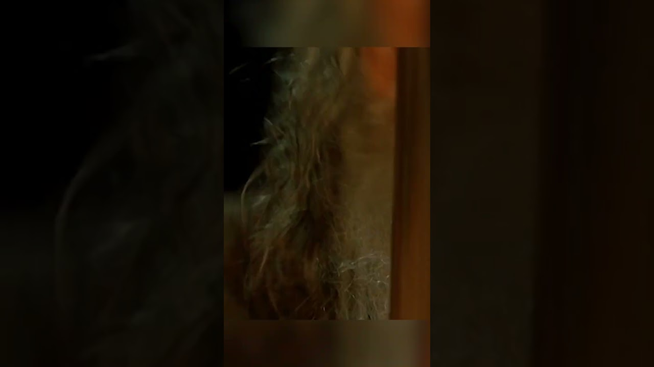 LOTR   -  Russians Drivers shall not pass Gandalf   #shorts #lotr #memes