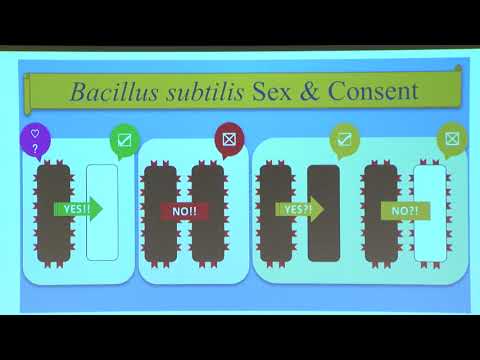 Science Slam 2017: Monika Avello