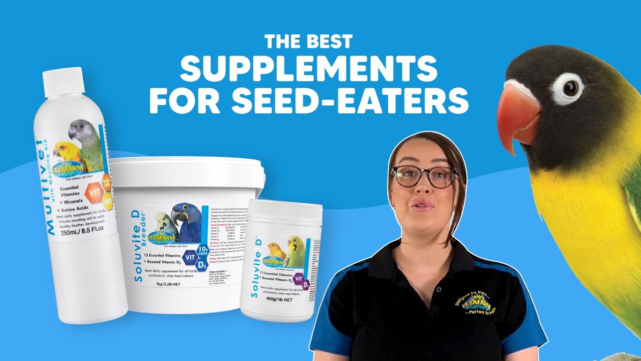 The Best Supplements for Bird Seed