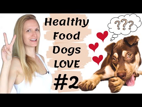 A True SUPERFOOD For Dogs: Healthy Food Dogs LOVE #2