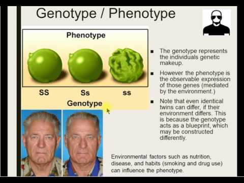 6V Approaches Biological approach