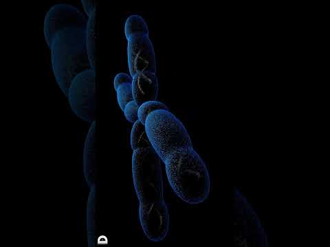 Gene or Allele? | #genetics #biology #dna