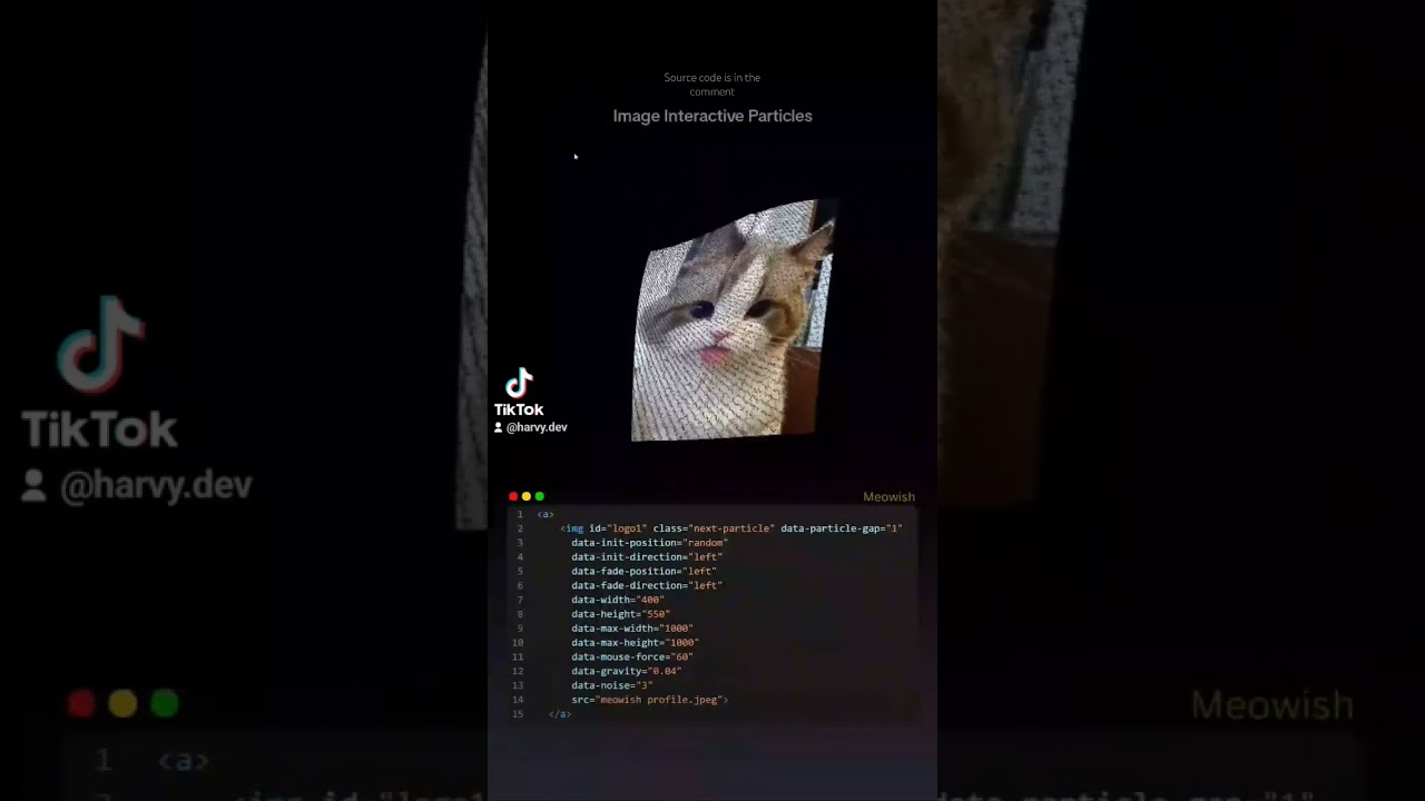 Try this on your photo😂 #programming #animation #webdevelopment #htmlcssjavascript #codes #foryou