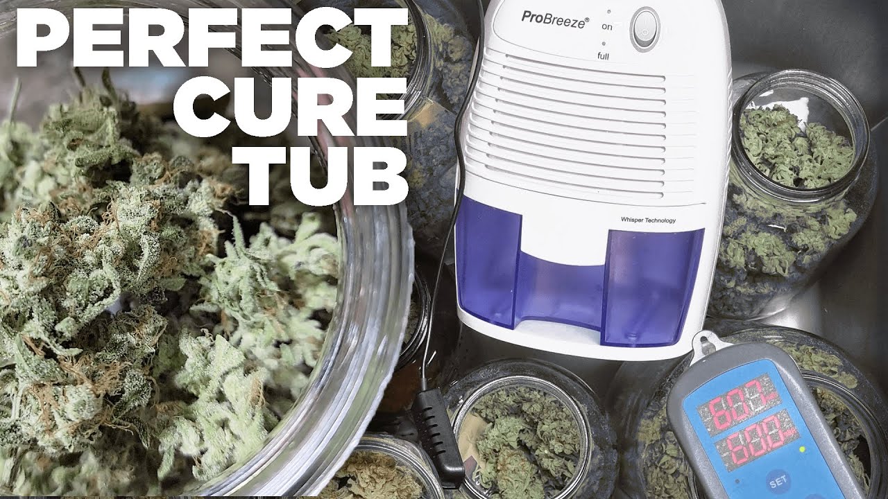 How to Cure Weed EASY - DIY Automated Cure Bin for Curing Cannabis Perfectly