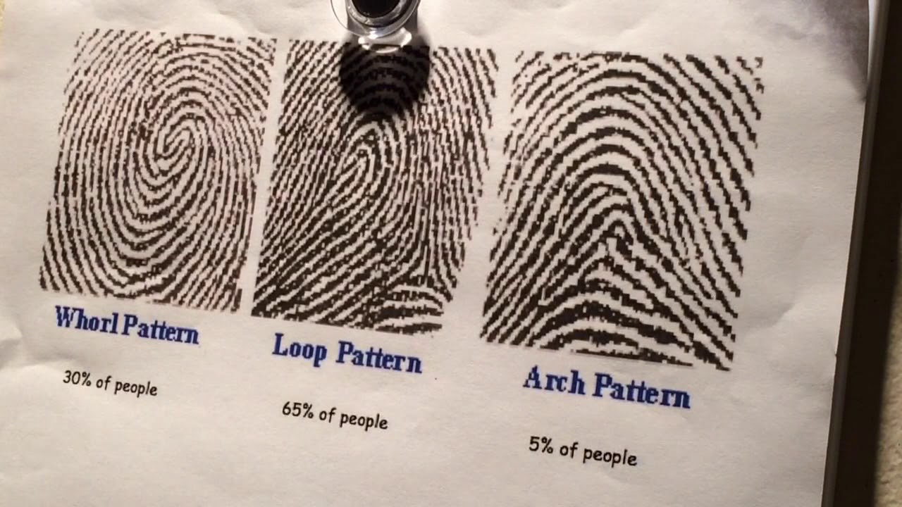 Fingerprints 101